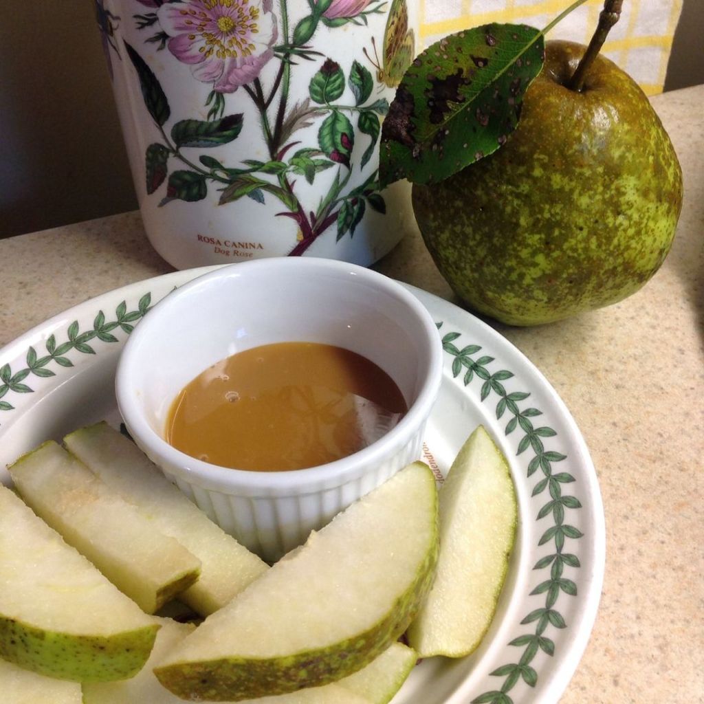 In Celebration of the Sand Pear | The Aiken Chronicles