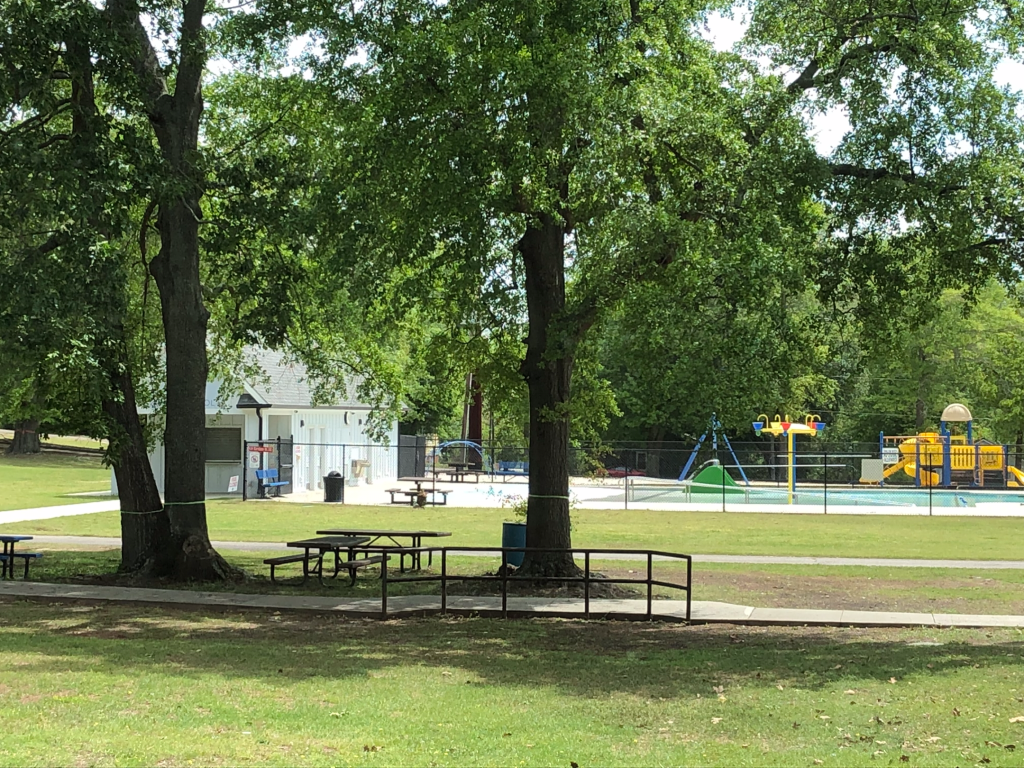 The Smith Hazel Trees: A Photo Gallery | The Aiken Chronicles