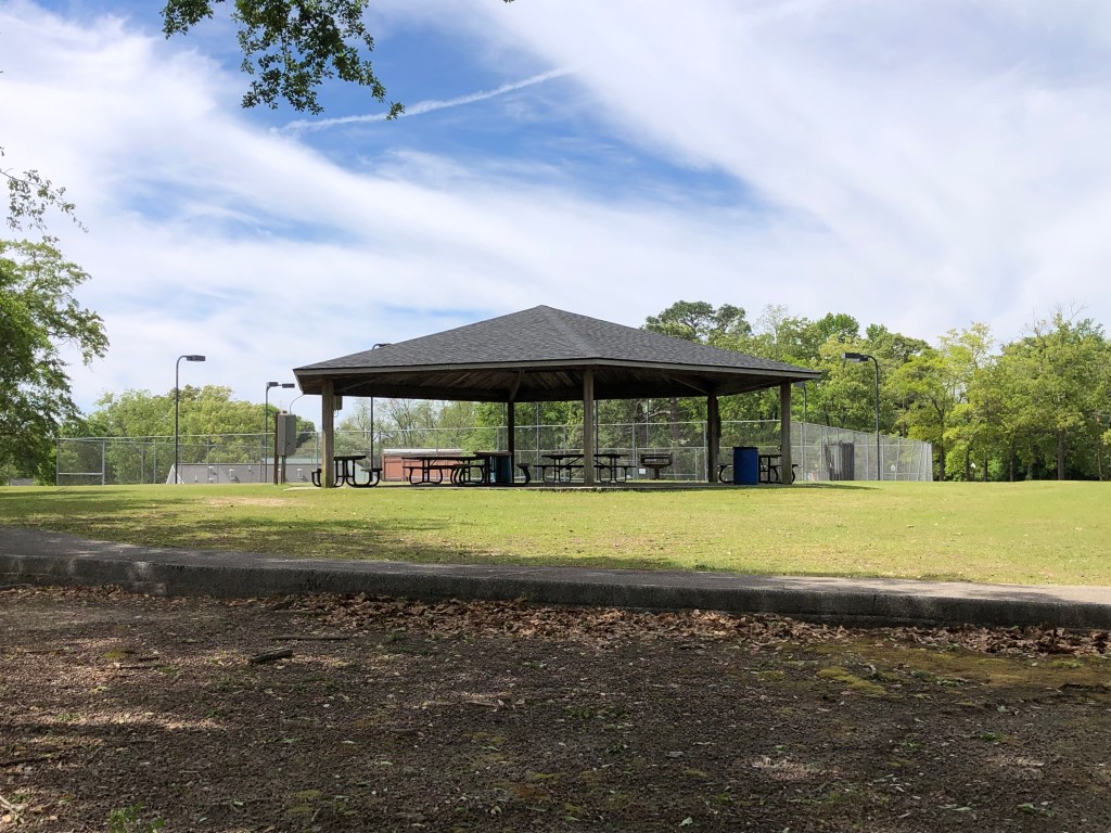 The Smith Hazel Trees: A Photo Gallery | The Aiken Chronicles