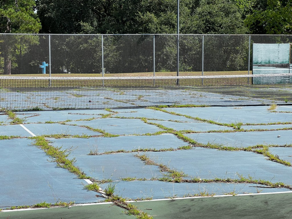 The Unlearned Lessons from Williamsburg Street Now Being Visited onto ...